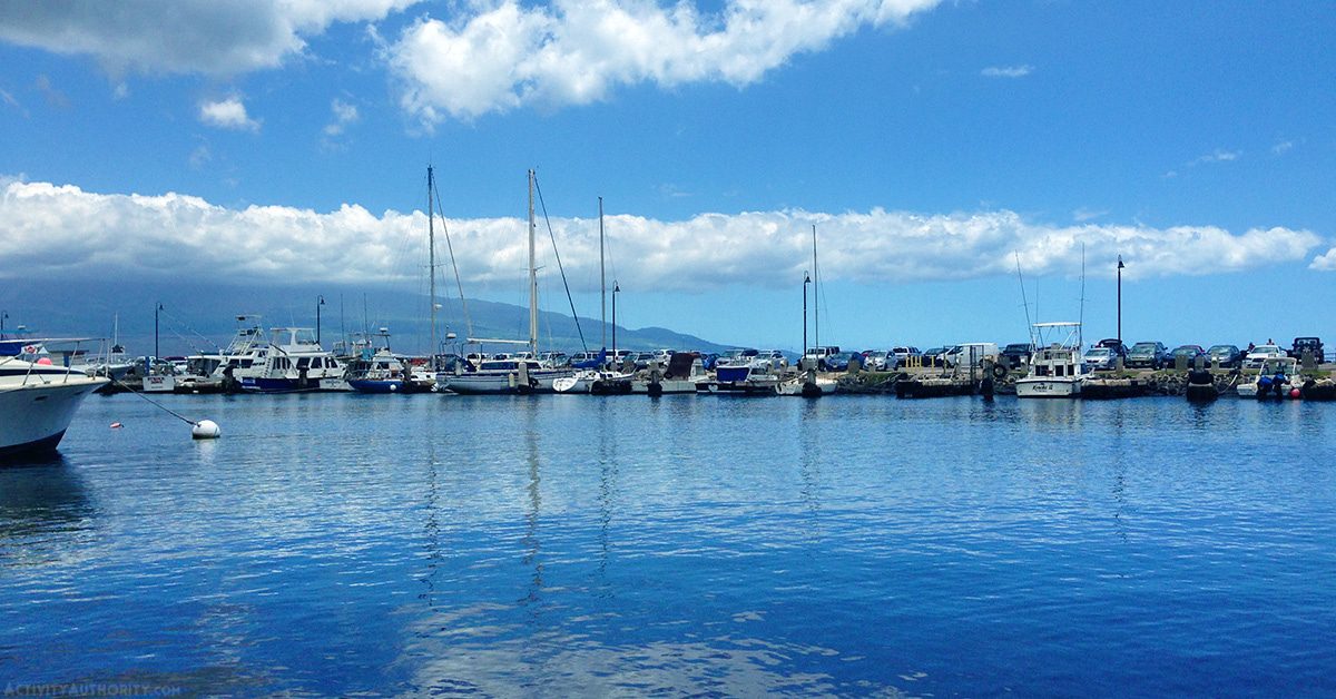 Things to do in Maalaea - Central Maui Harbor Shops, Dining, Fun!
