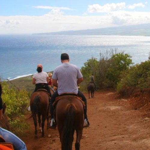 Maui Horseback Riding Tickets | Discount Horseback Tours