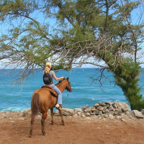 Maui Horseback Riding Tickets | Discount Horseback Tours