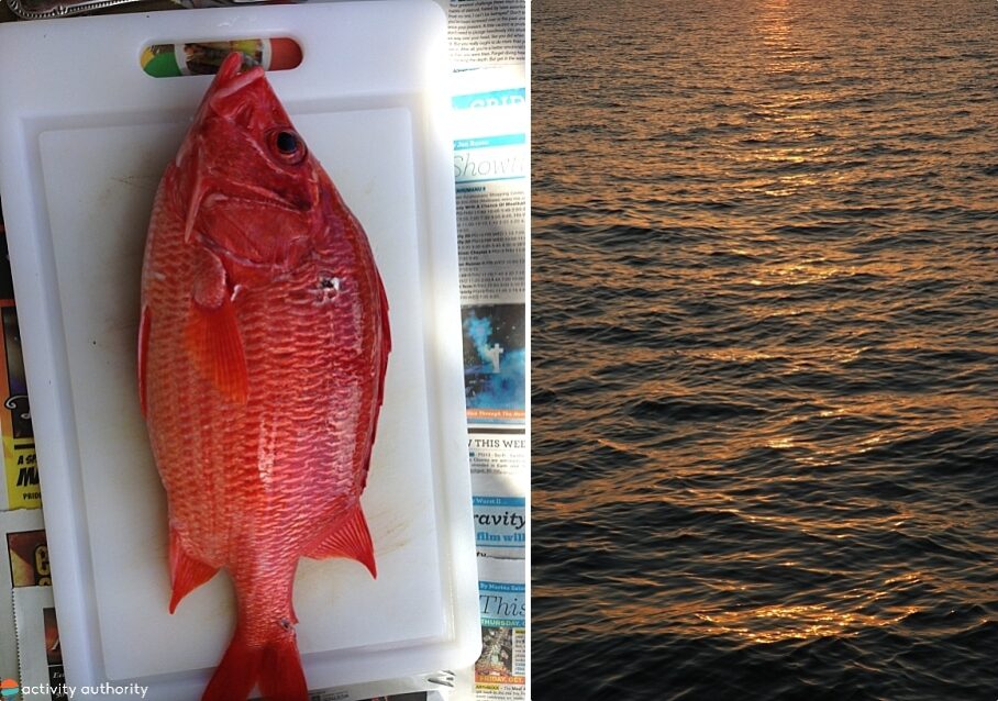 Top 5 Kona Fishing Tours - Big Island, Hawaii Fishing Tours