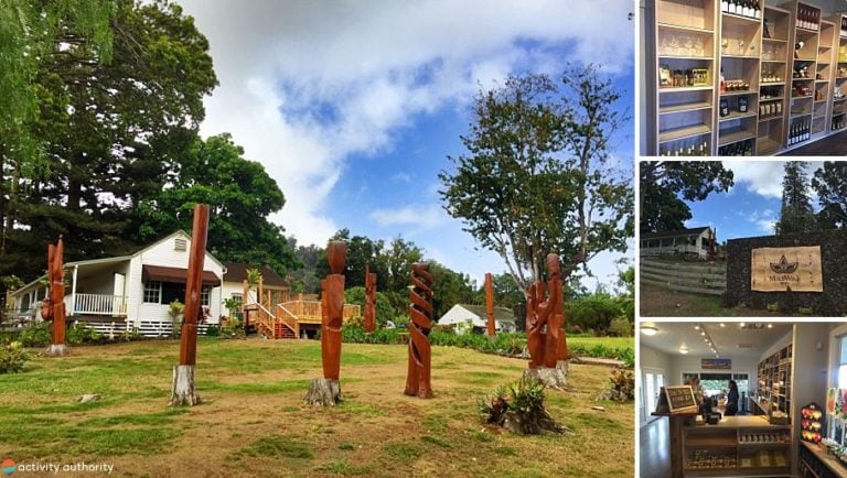Top 12 Maui Activities For Seniors - Activity Authority