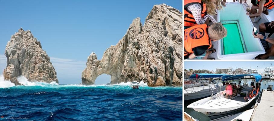 Top 5 Things To Do In Cabo San Lucas - Activity Authority