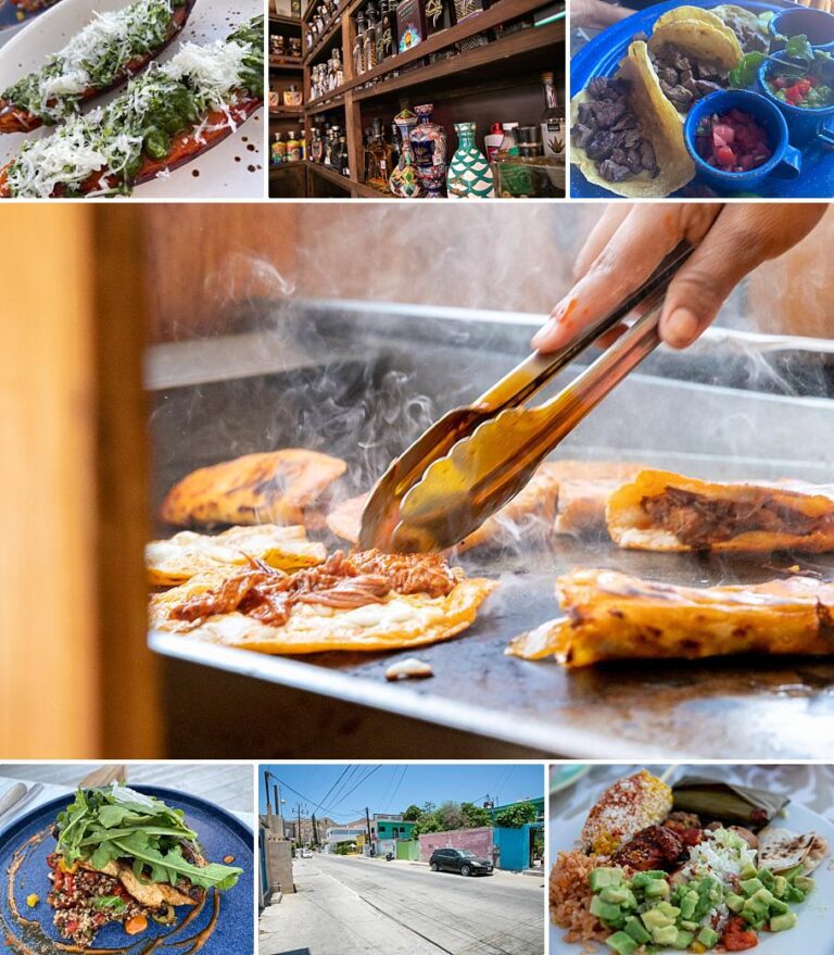 Top 5 Things To Do In Cabo San Lucas - Activity Authority